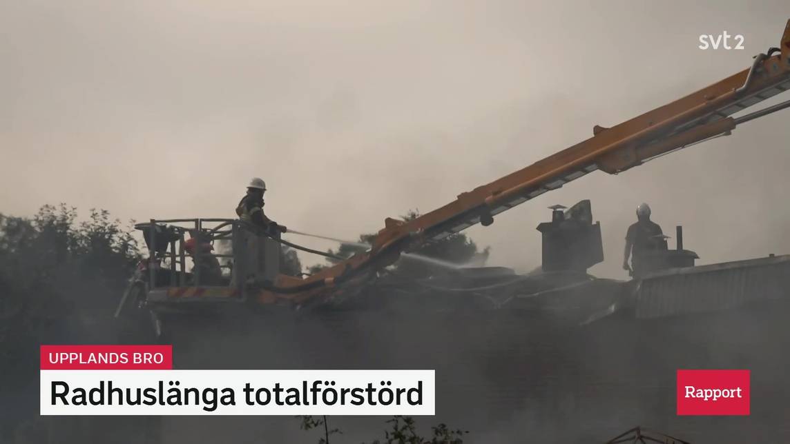 Rapport – Avsnitt 170 | SVT Play
