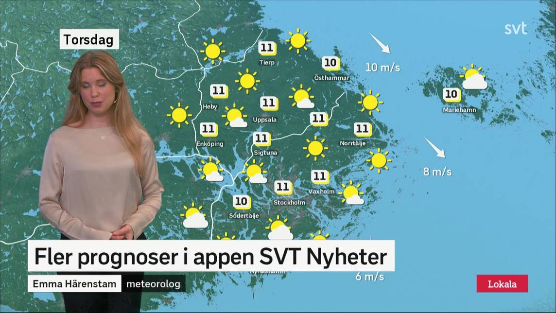 Lokala Nyheter Stockholm – Avsnitt 206 | SVT Play