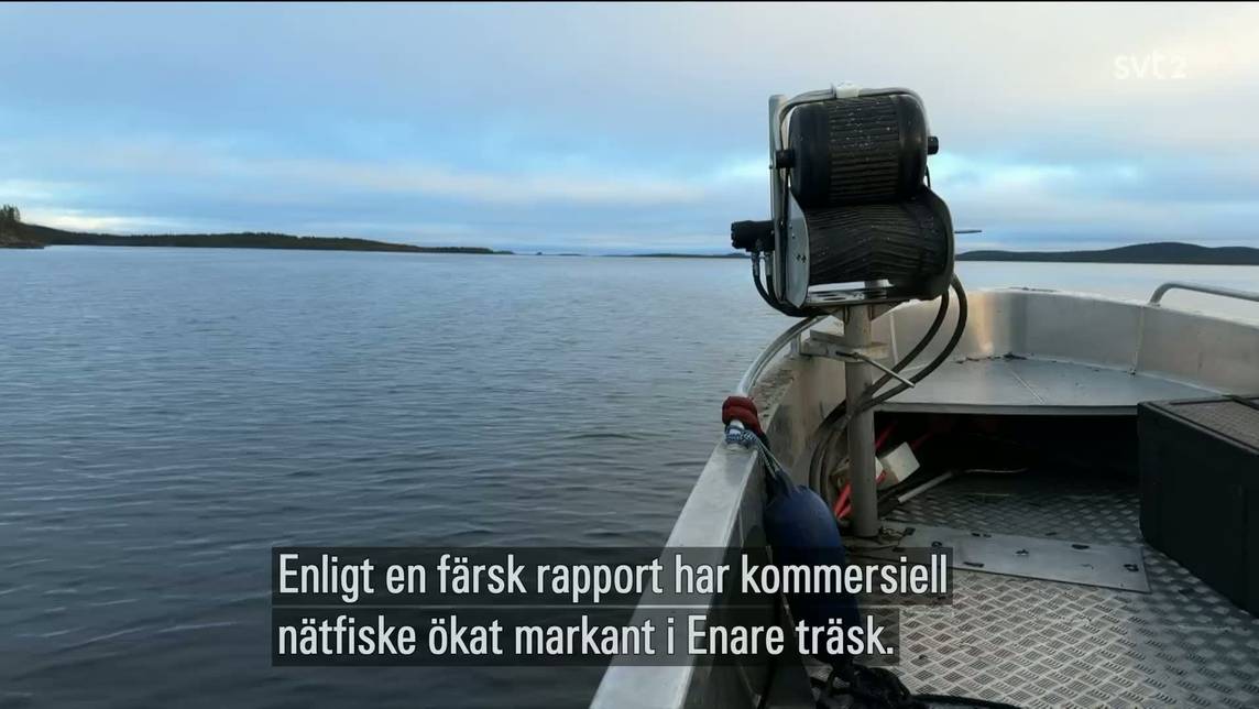 Oddasat – Avsnitt 190 | SVT Play