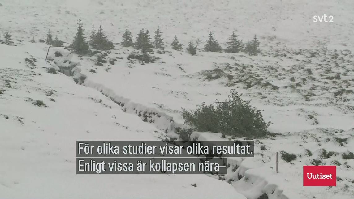 Uutiset – Avsnitt 190 | SVT Play