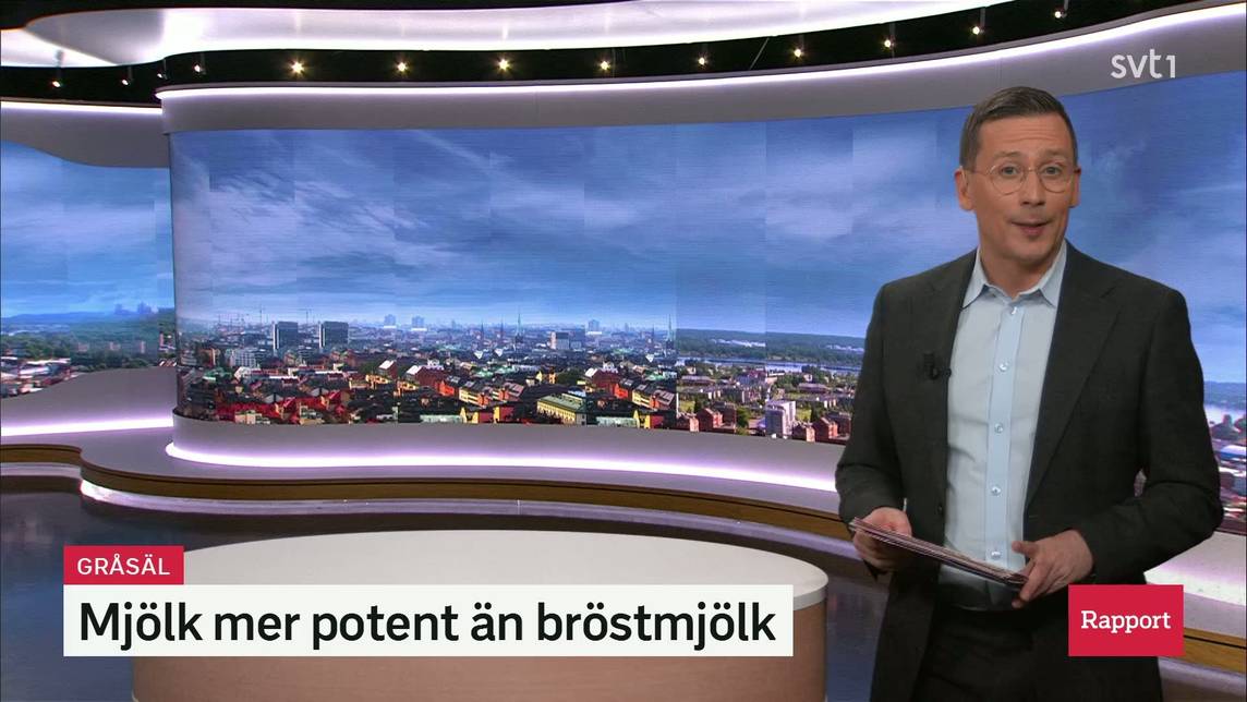 Rapport – Avsnitt 330 | SVT Play