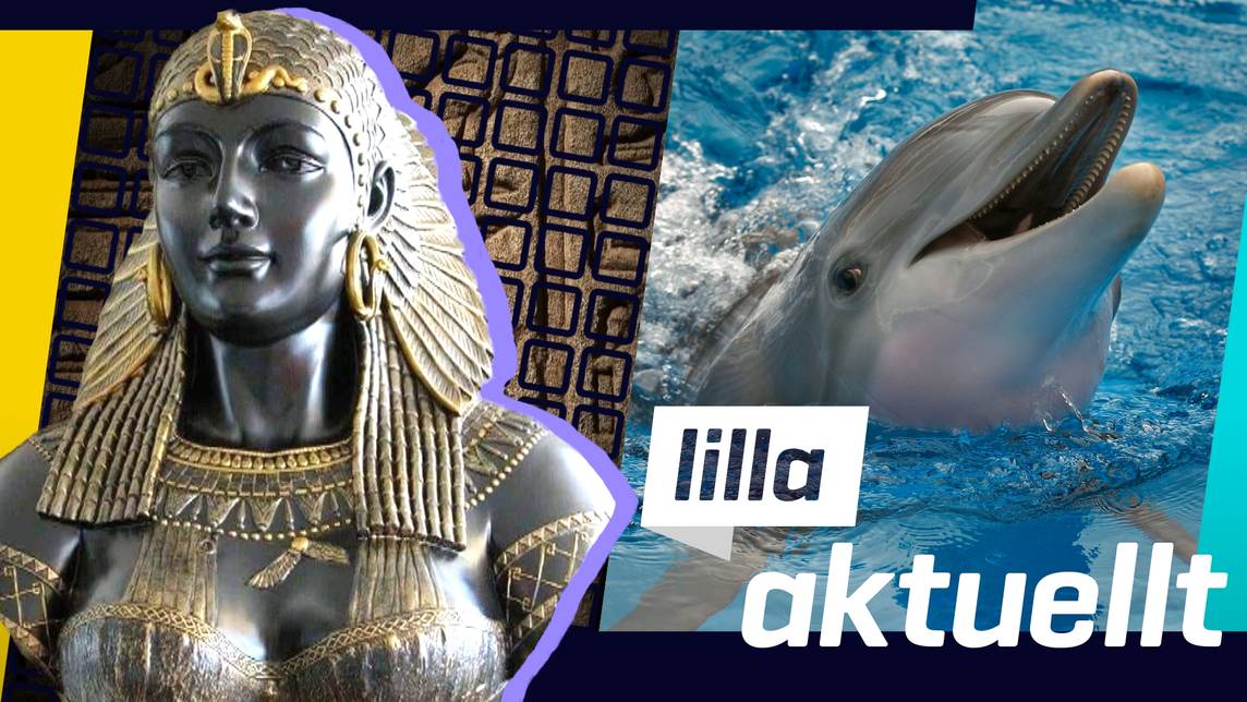 Lilla Aktuellt & Lilla Aktuellt skola – Imorgon 18:15 | SVT Play