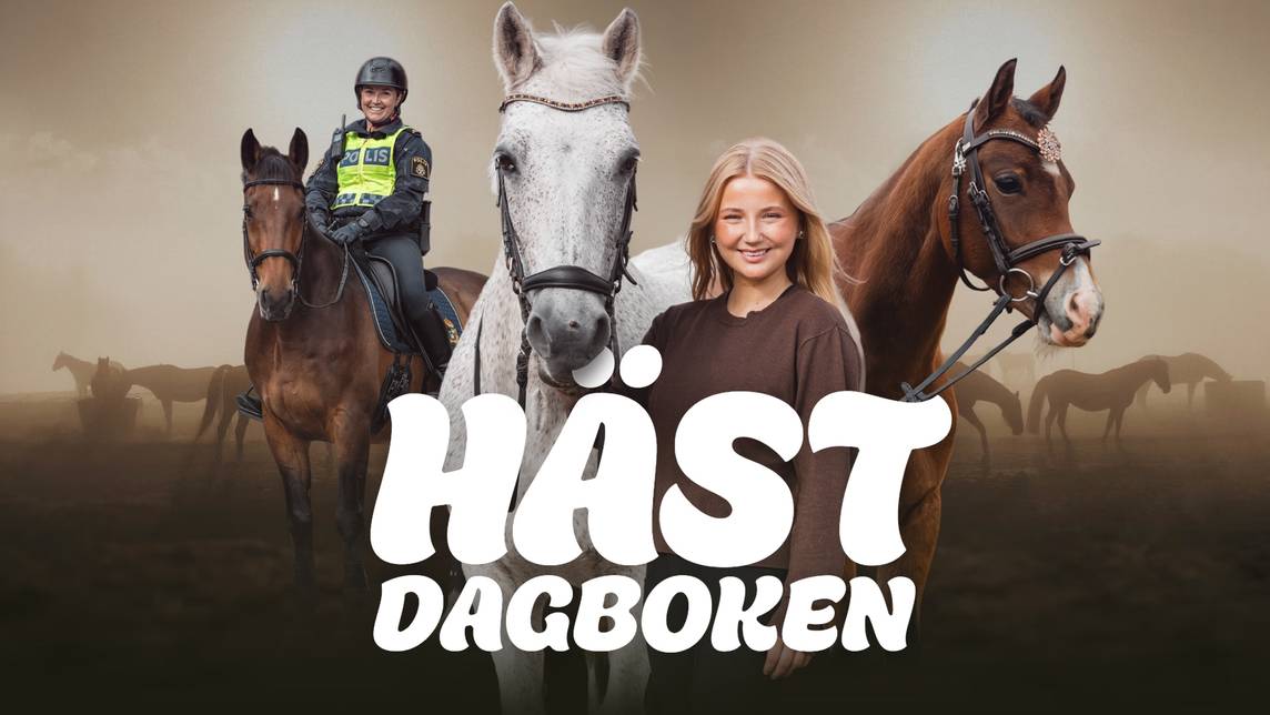Hästdagboken – Travaren Lonely Nights | SVT Play