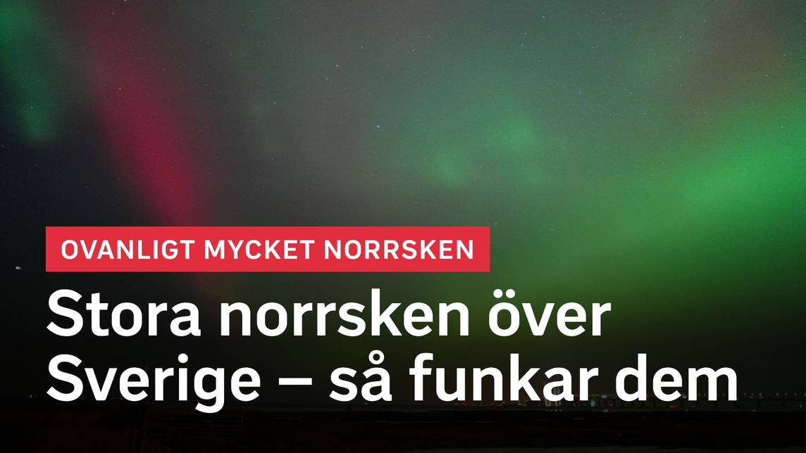 SVT Nyheter – Ovanligt mycket norrsken över Sverige – därför ses de i ...