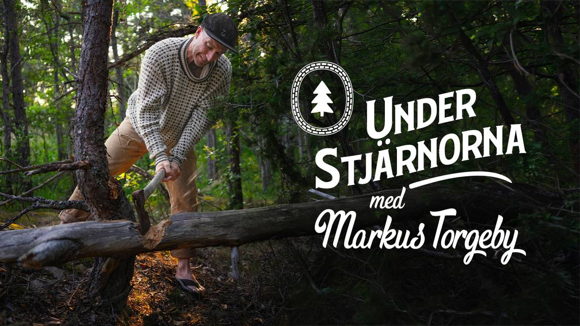 Under stjärnorna med Markus Torgeby | SVT Play