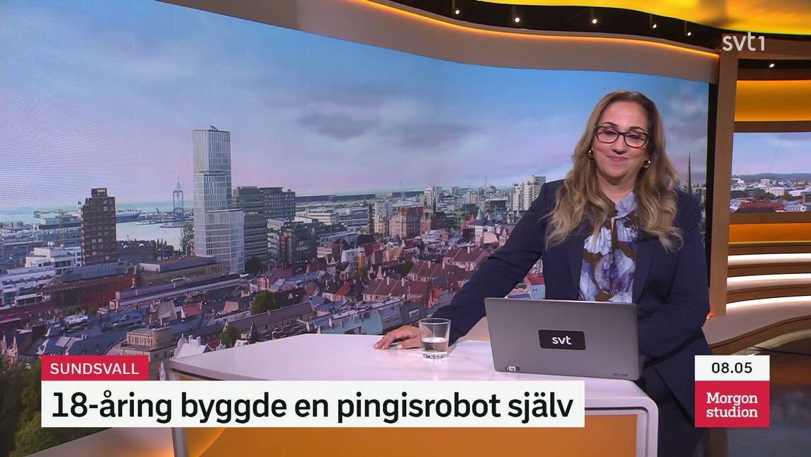 Rapport – Avsnitt 103 | SVT Play