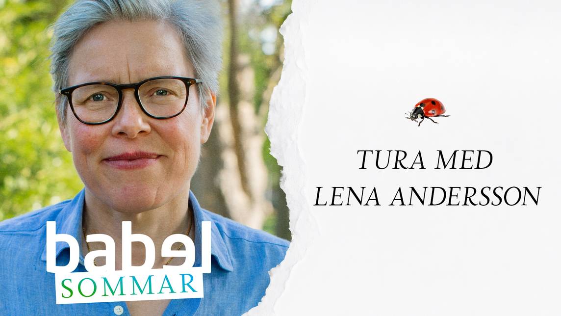 Babel – Lena Andersson | SVT Play