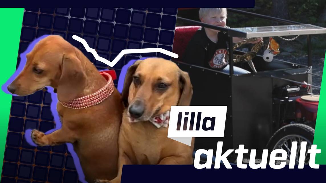 Lilla Aktuellt & Lilla Aktuellt skola – Imorgon 09:45 | SVT Play