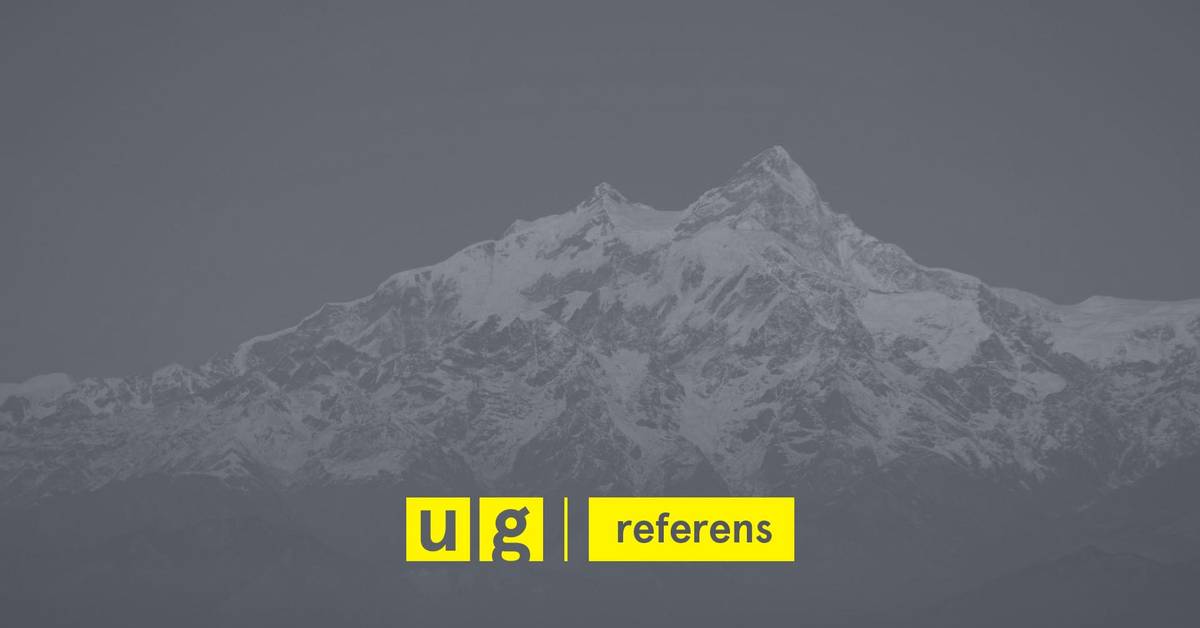 En ansvarsfull exit | SVT Nyheter