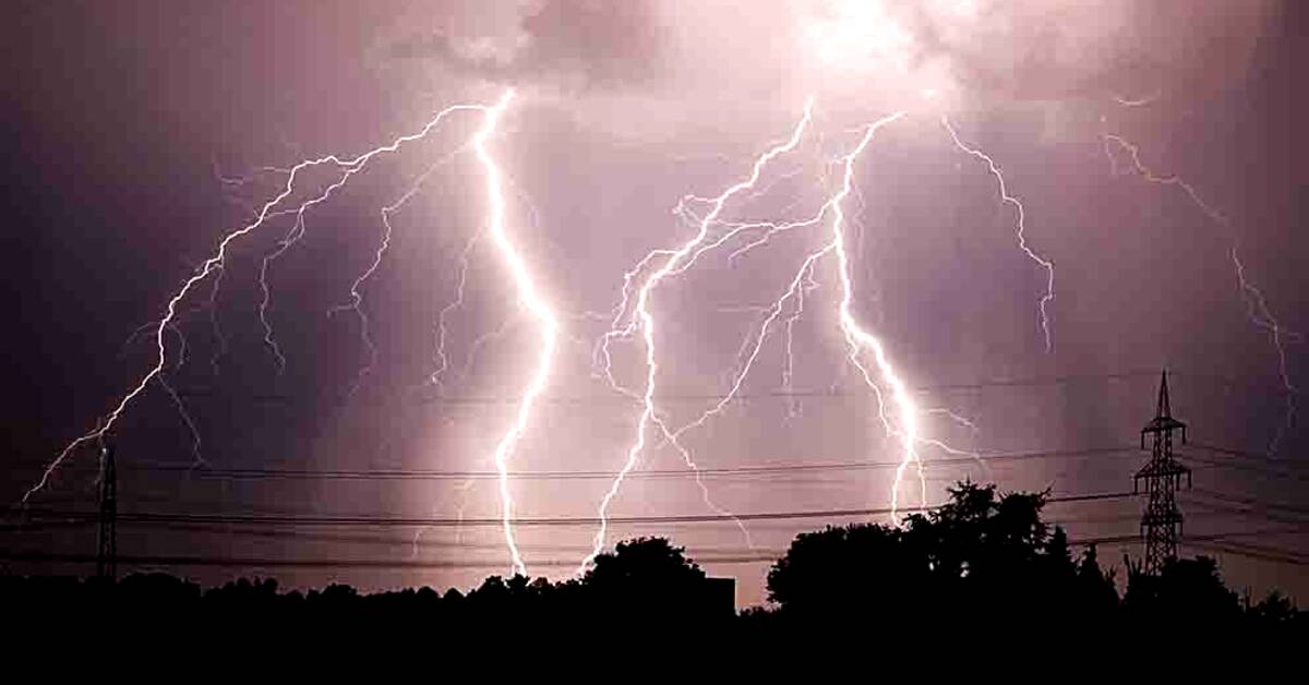 Så funkar en blixt | SVT Nyheter