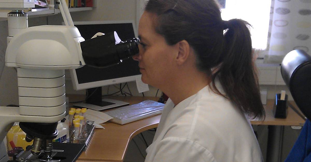 Springmask bakom skoldiarré | SVT Nyheter