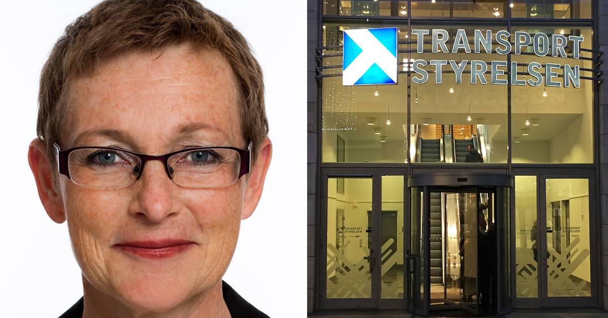 Maria Ågren: Regeringskansliet hade full insyn i IT-affären | SVT Nyheter