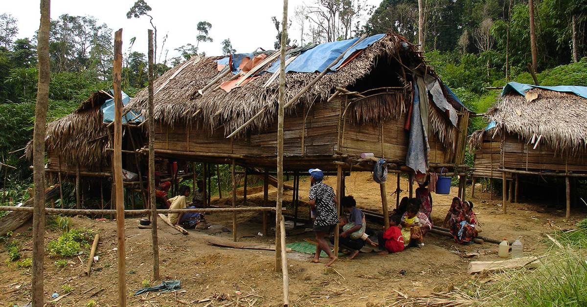 Jedek – nyupptäckt språk i Sydostasien | SVT Nyheter