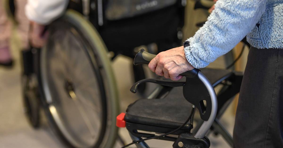 Ryggkotor trycktes ihop vid förflyttning | SVT Nyheter