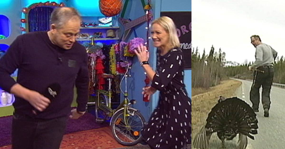 SVT:s reporter gör debut i barnprogram | SVT Nyheter