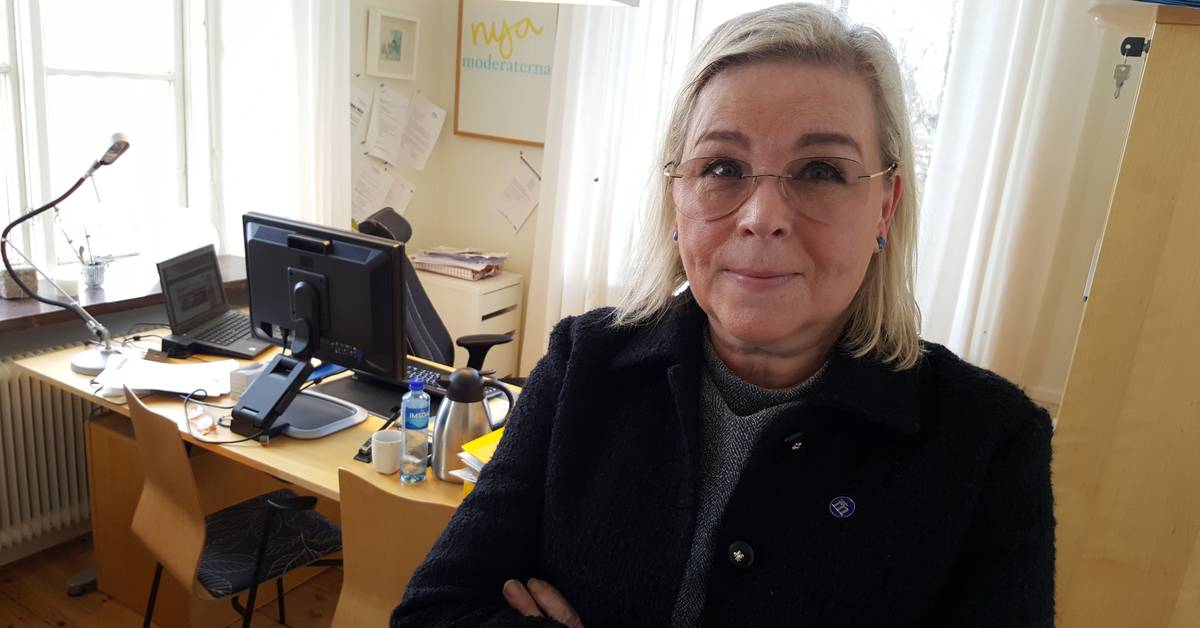 Kritik mot Roger Holmberg (S) från politikerkollegor | SVT Nyheter