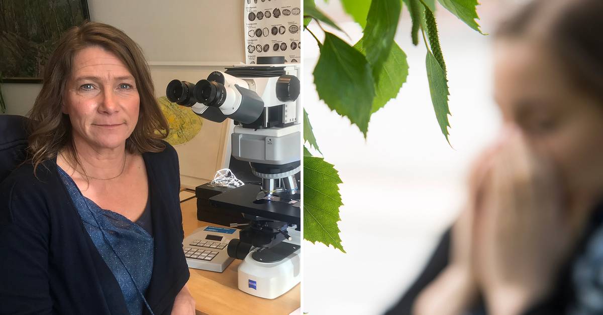 Kollen på pollen: Här räknas några av årets första pollen | SVT Nyheter