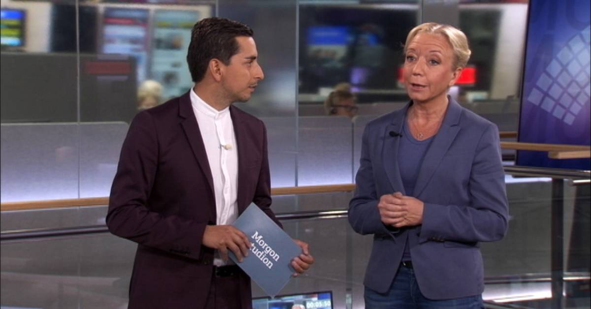 Elisabeth Marmorstein om Moderaterna: “Välkommen framgång för en ...