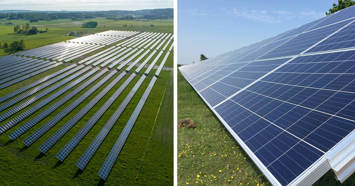 Se Sveriges största solcellspark från ovan | SVT Nyheter