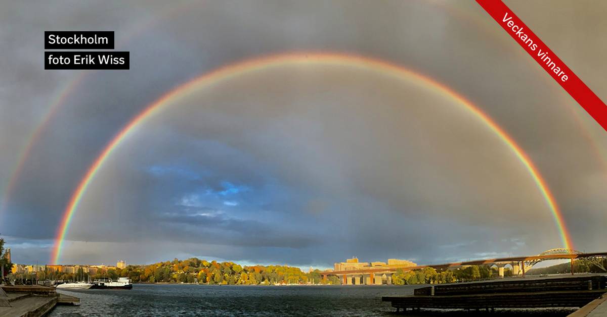 Väderbildstävling 2019 vecka 41 | SVT Nyheter