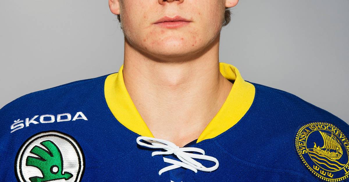 Spelarpresentation: Gustav Forsling | SVT Nyheter