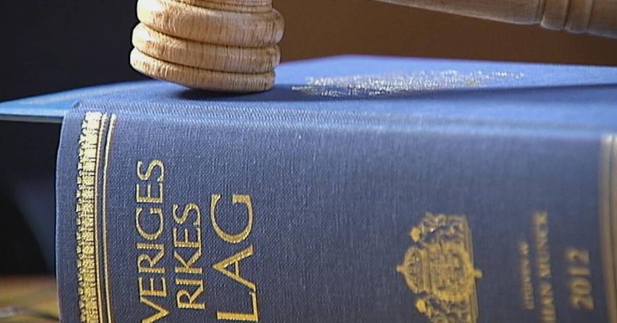 Hade Sex Med 13 åring Frias Svt Nyheter