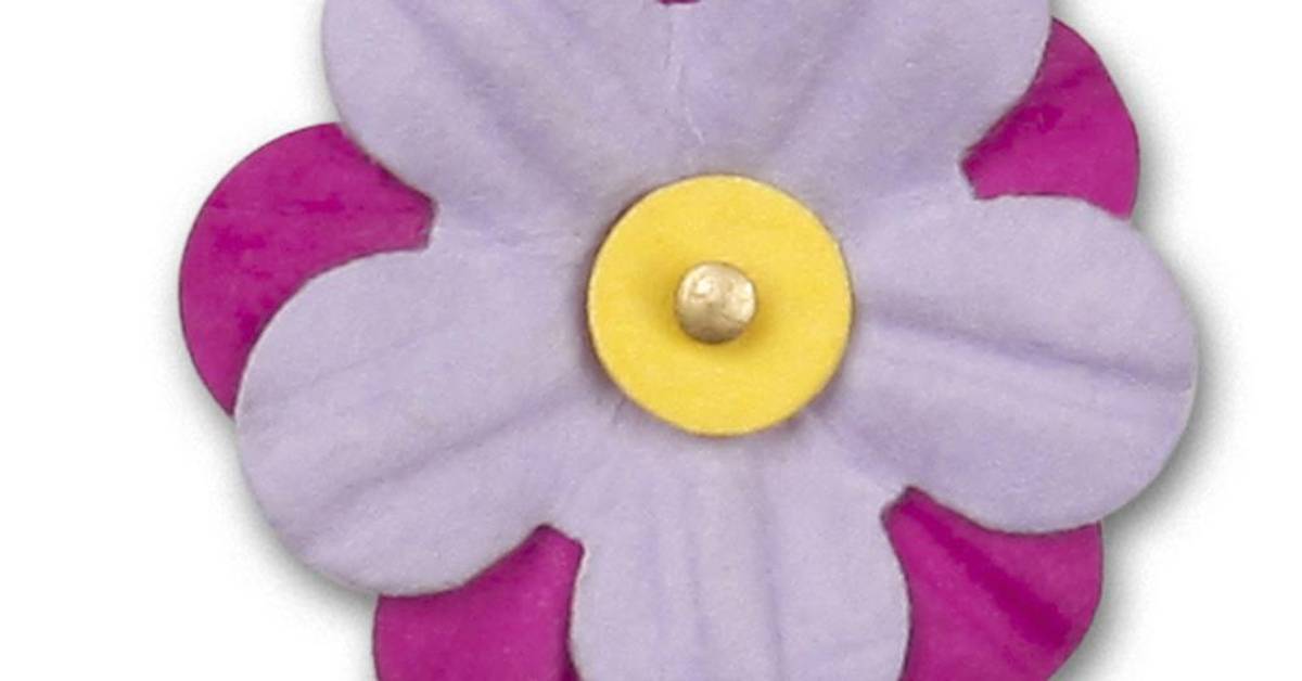 Hallon och lila i årets majblomma | SVT Nyheter