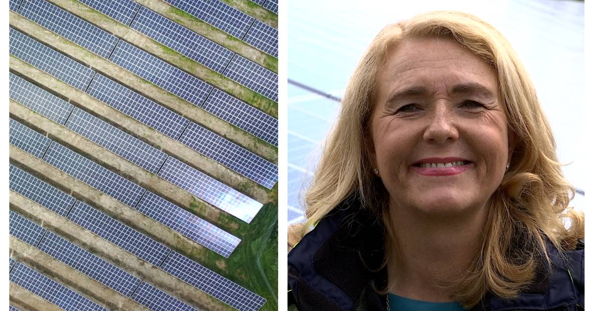 El till 2300 villor – snart invigs Sveriges största solcellspark | SVT Nyheter