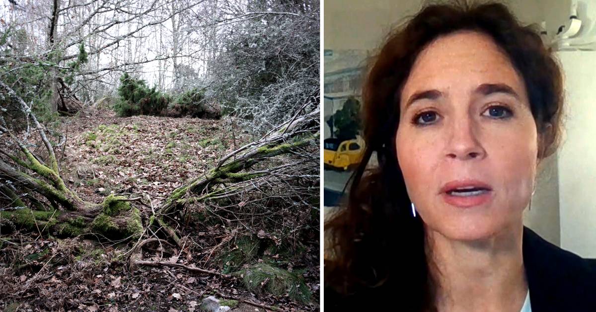 ”Vanligt att misstänkta skyller på varandra” | SVT Nyheter