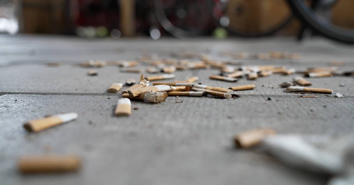 Fimpar på marken kan bli dyrt | SVT Nyheter