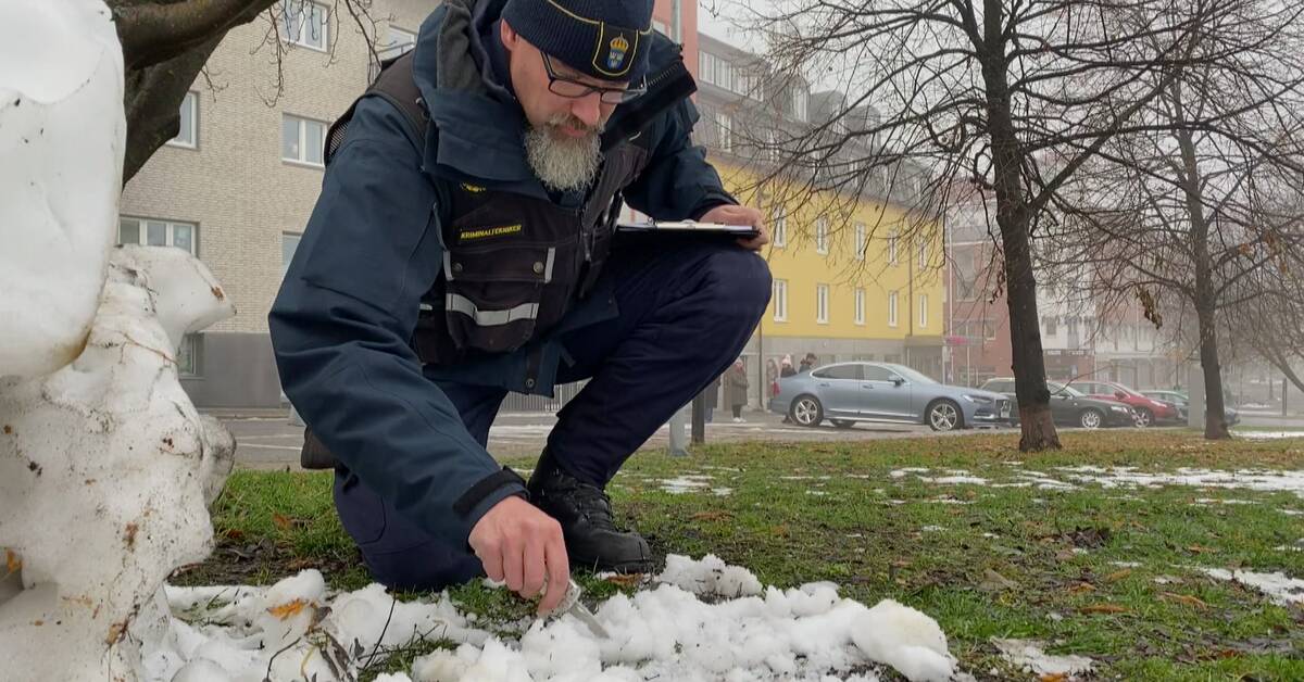 Två Män Döms Till Fängelse För Att Ha Skjutit Man På Floras Kulle I