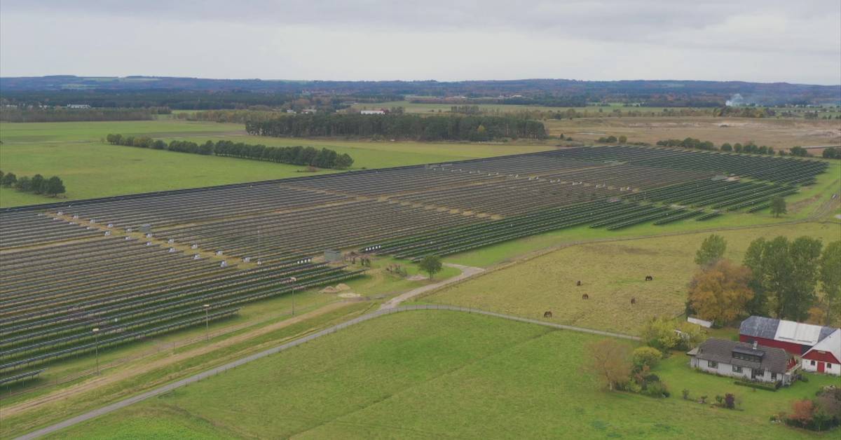 Här är Sveriges största solcellspark – se den från ovan | SVT Nyheter