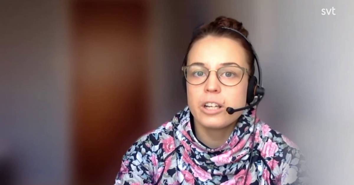 Premiär för SVT:s första egna animerade barnprogram på samiska | SVT ...