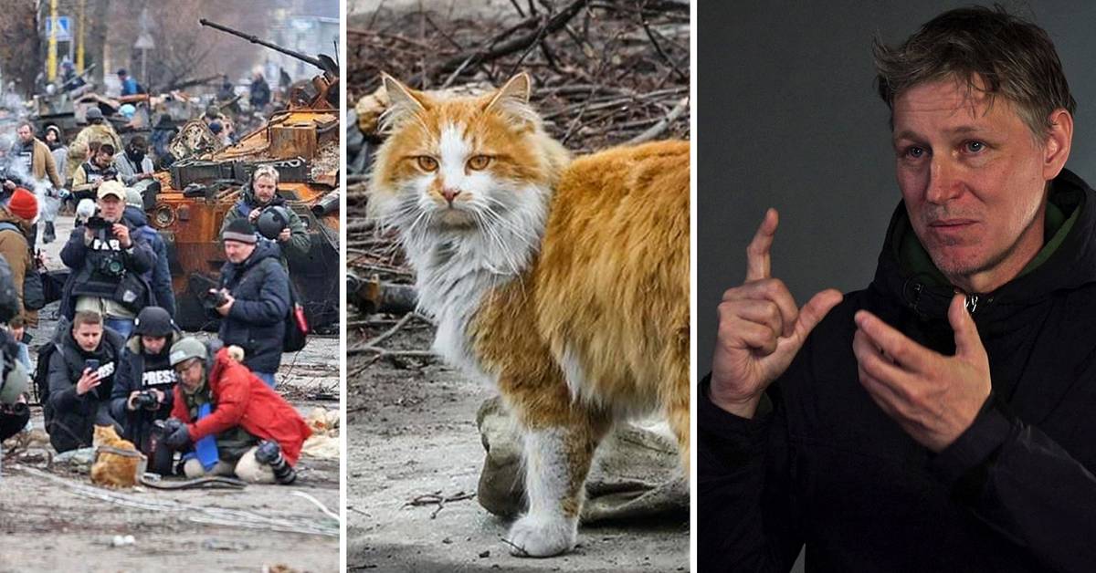 ”Butja-katten”: SVT:s fotograf om bilden som skapade debatt – och blev ...