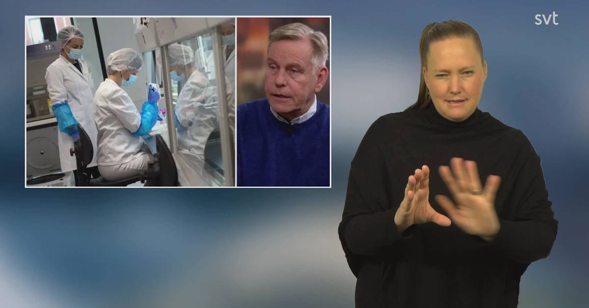 Experten om spridningen av apkoppor: ”Vi behöver tagga ner” | SVT Nyheter