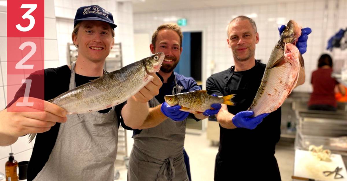 Lista: Tre ”fula fiskar” som förtjänar en plats på matbordet | SVT Nyheter