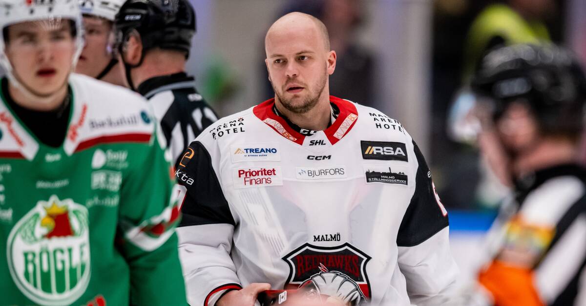 Oscar Alsenfelt ends his career - becomes sporting director of SDHL ... Oscar Alsenfelt ends his career - becomes sporting director of SDHL ...