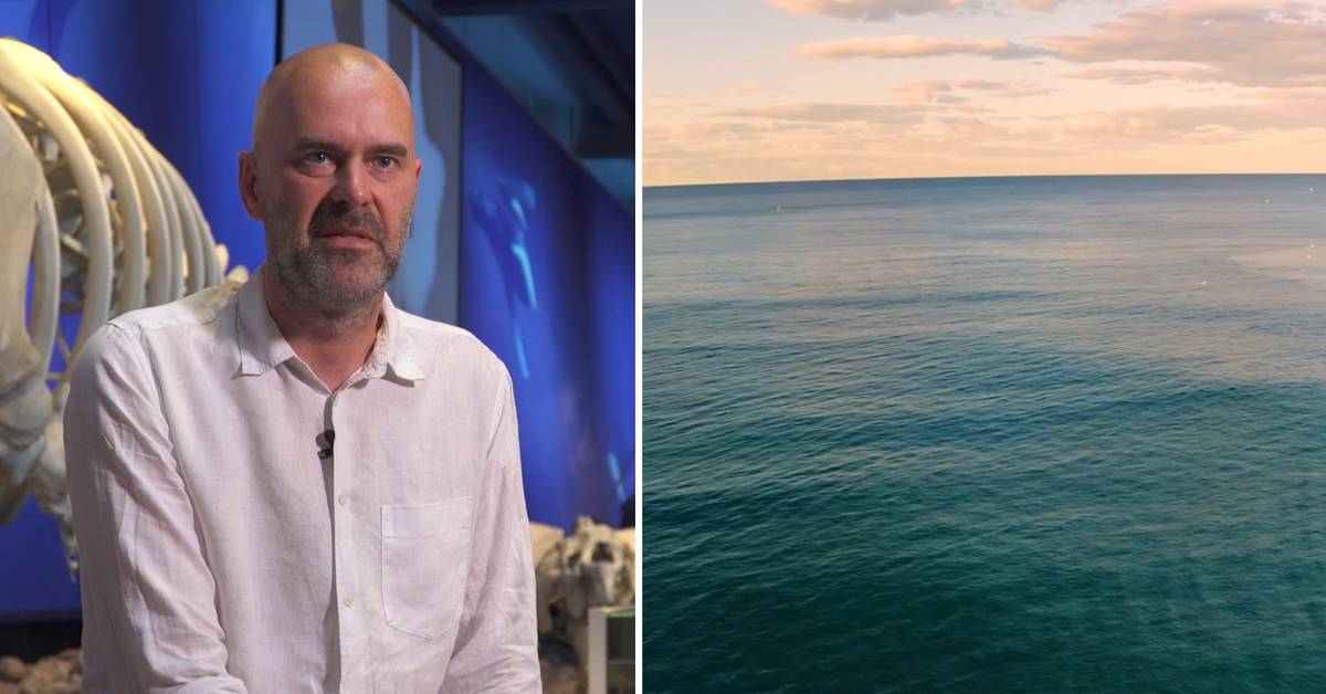 Patrik Svensson om uppföljaren till hyllade ”Ålevangeliet” | SVT Nyheter