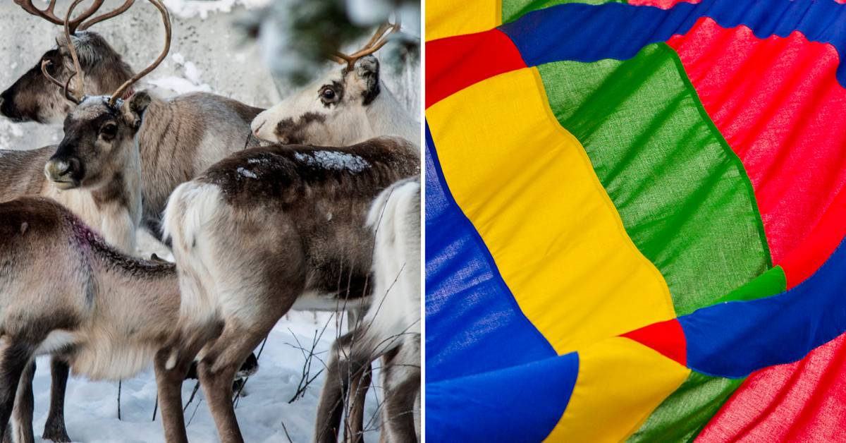 Hatbrott mot samer ska granskas av Brå | SVT Nyheter