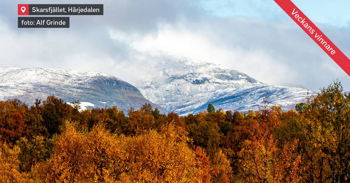 Väderbildstävling 2022 vecka 38 | SVT Nyheter