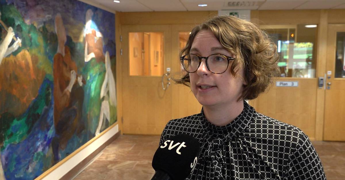 Elin Norén (S) om Ekeroth: ”Viktigt att företrädare bor och är ...