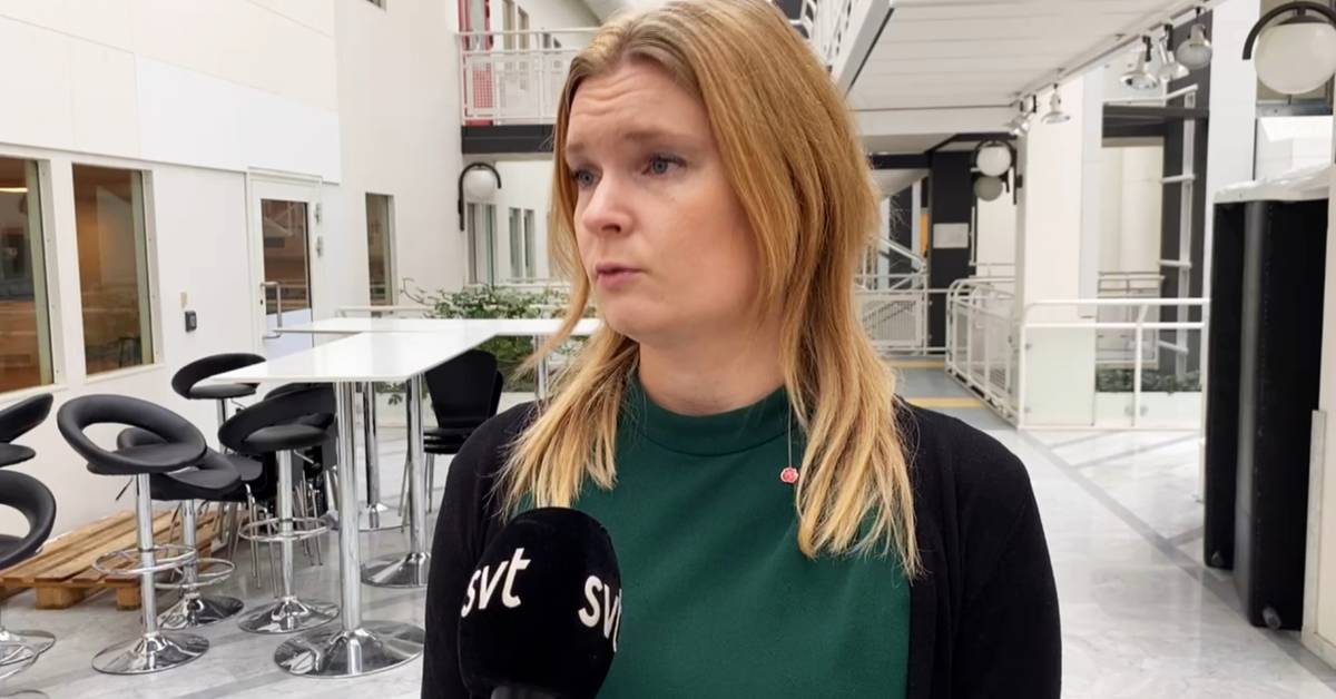 Hälso- och sjukvårdsnämndens svar på kritiken: ”Handlar inte om det ...