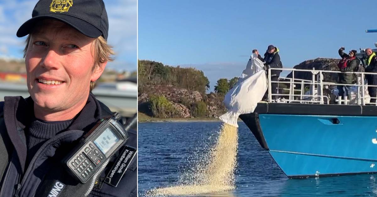 Här tömmer de tusentals liter popcorn i havet | SVT Nyheter