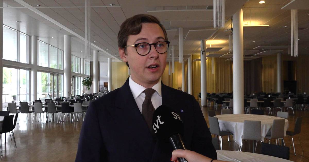 Torin (M) on the new board in Karlstad: "It will be four tough years ...