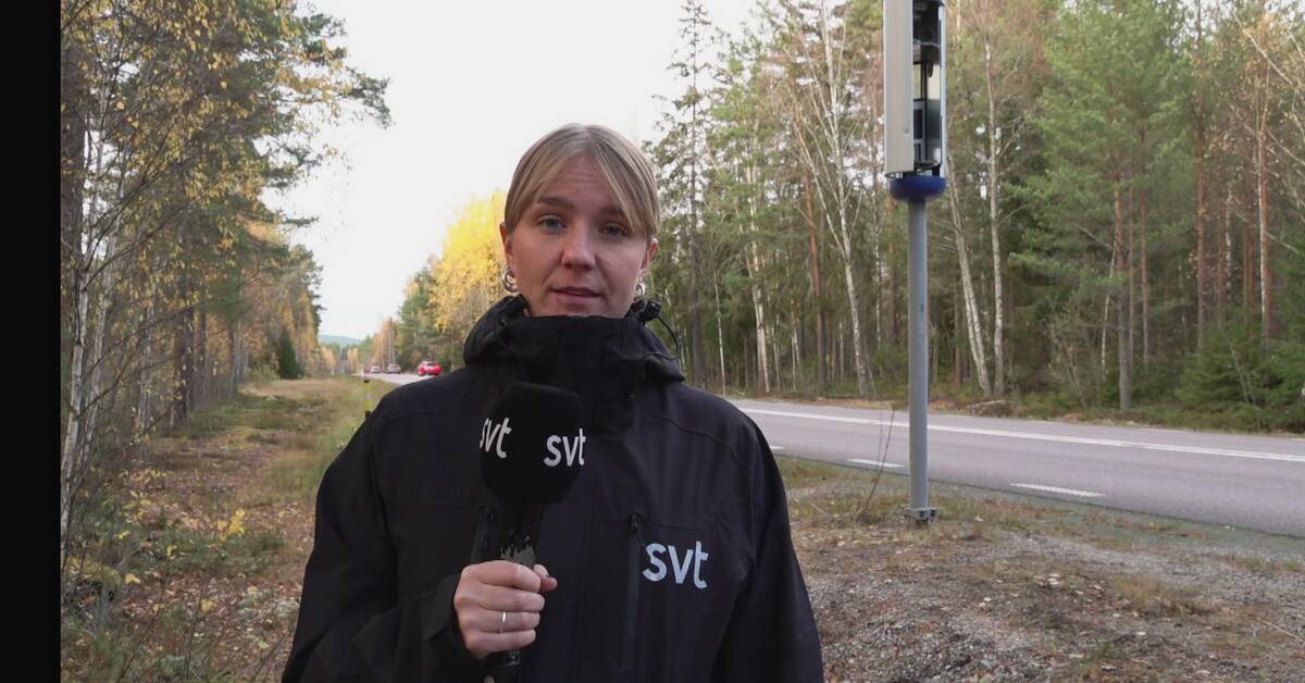 Hör Svt Nyheter Dalarnas Reporter Berätta Om Stölderna Av De Hittills