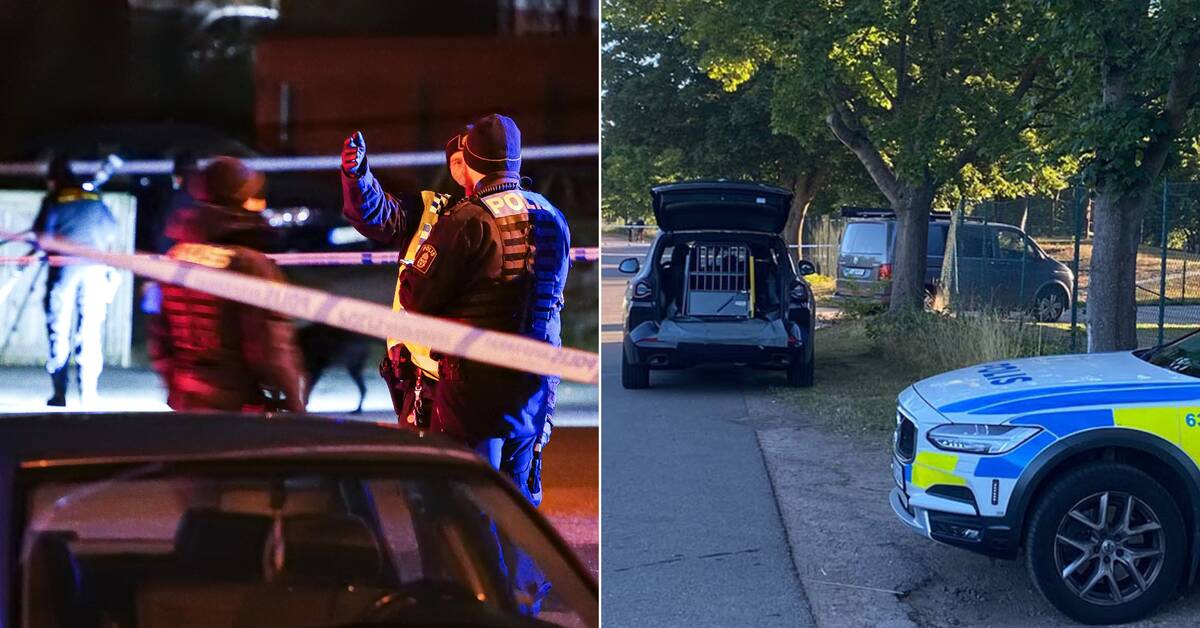 Man Misstänks För Två Skånska Mord Svt Nyheter