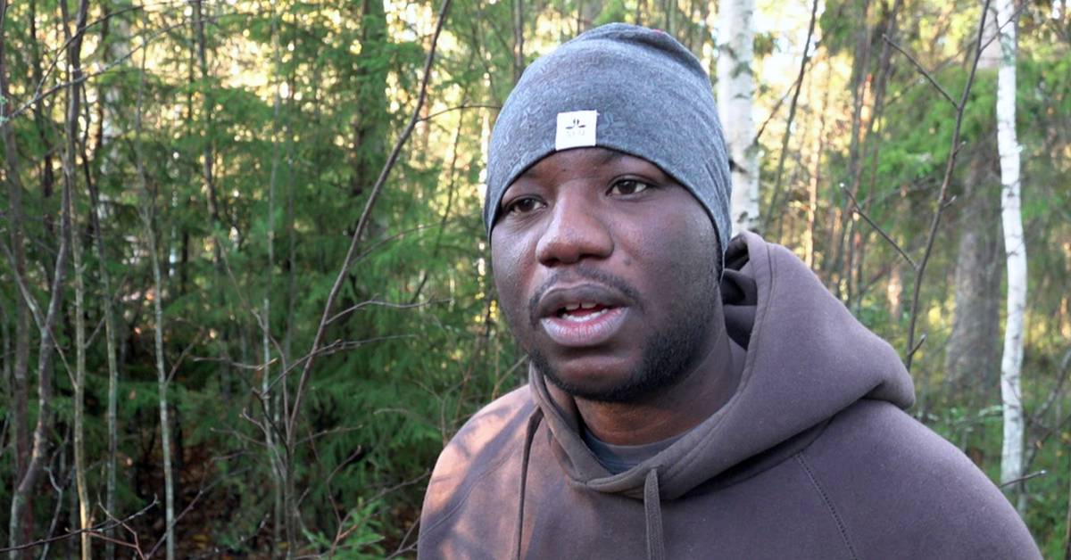 Forskare på SLU i Umeå: Tallarna har blivit två meter längre än väntat ...