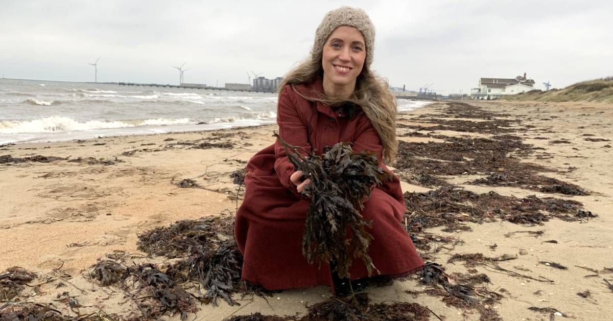 Kommunens uppmaning: Hämta tång till trädgården från Skrea strand | SVT ...