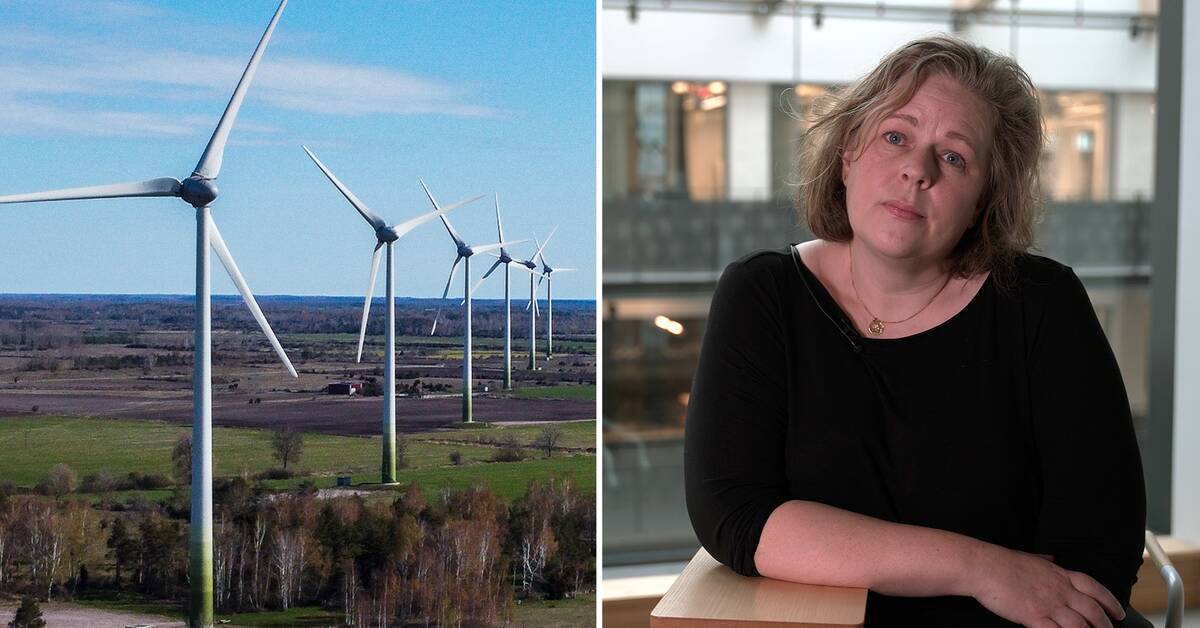 Sverige Misslyckas Med 15 Av 16 Miljömål Svt Nyheter
