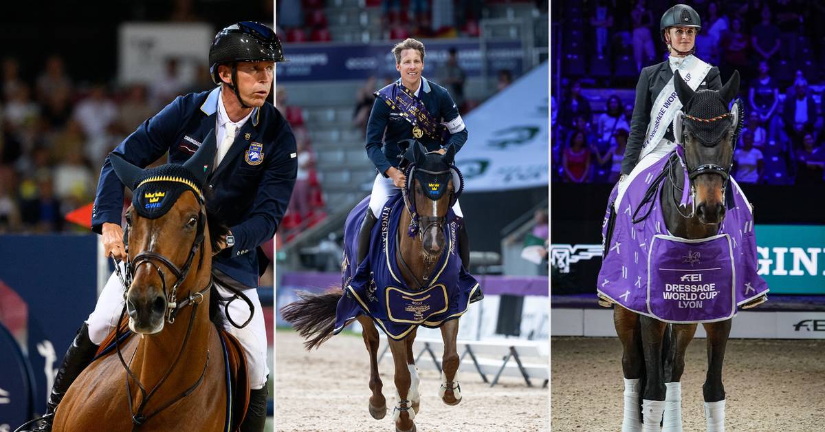 Guide: Så ser du Sweden International Horse Show i SVT | SVT Sport